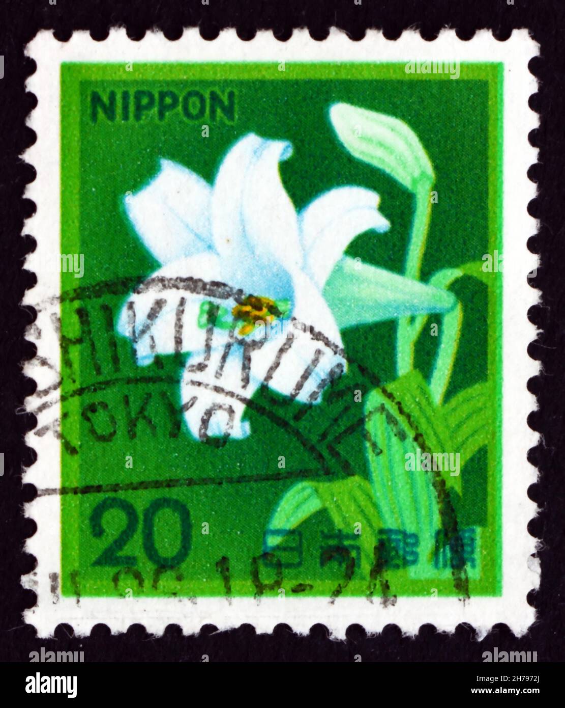 JAPAN - CIRCA 1980: a stamp printed in the Japan shows White Trumpet ...