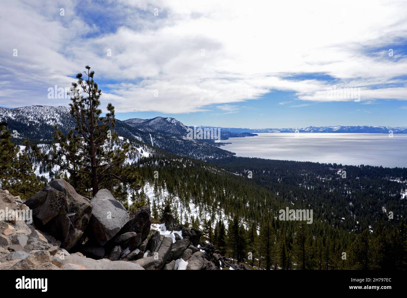 Humboldt toiyabe forest hi-res stock photography and images - Alamy