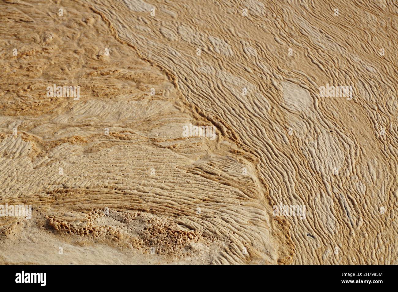 A scenic view of wet sand texture on the beach Stock Photo - Alamy