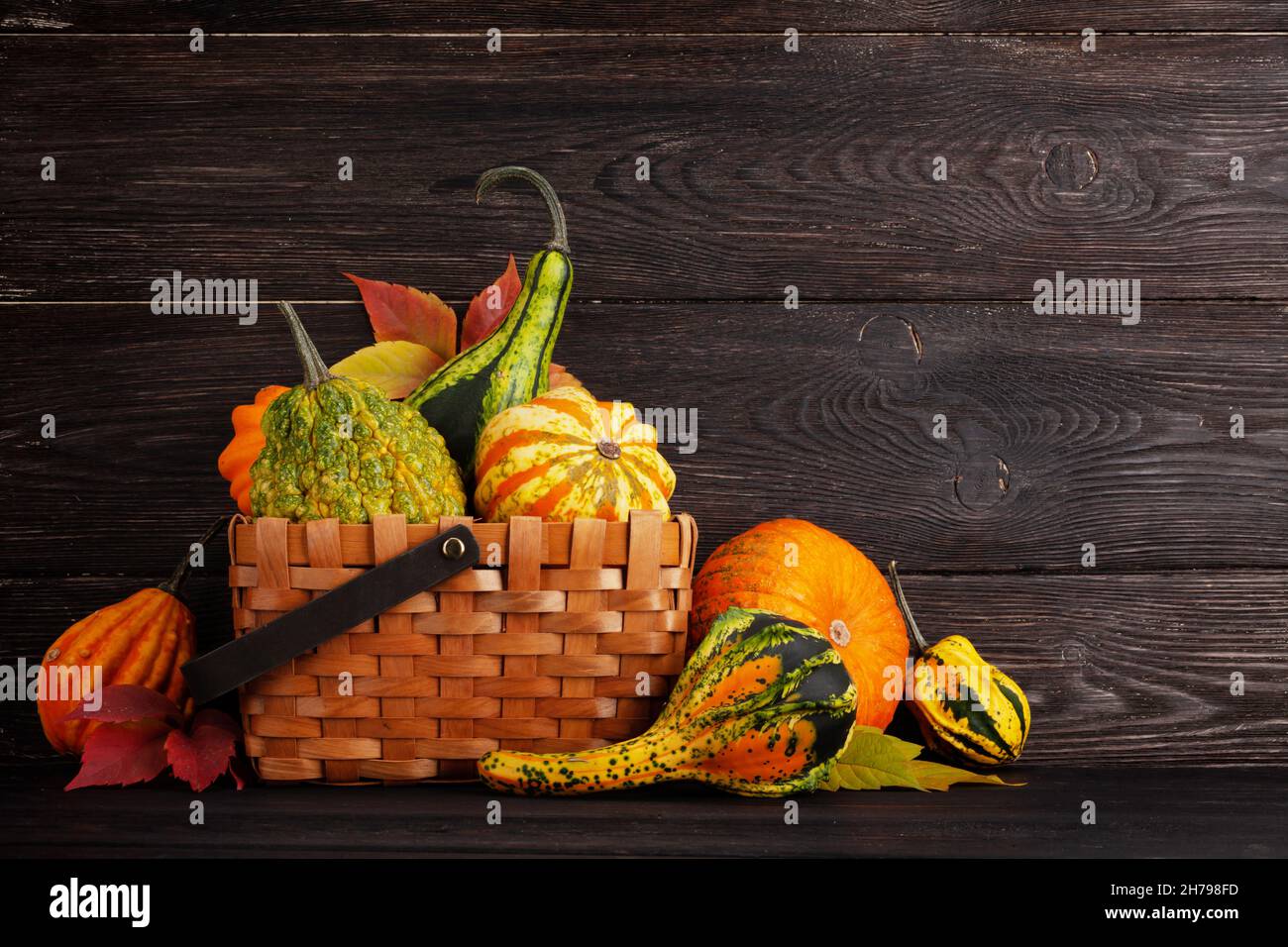 Various colorful squashes and pumpkins. Autumn vegetable harvest. With ...