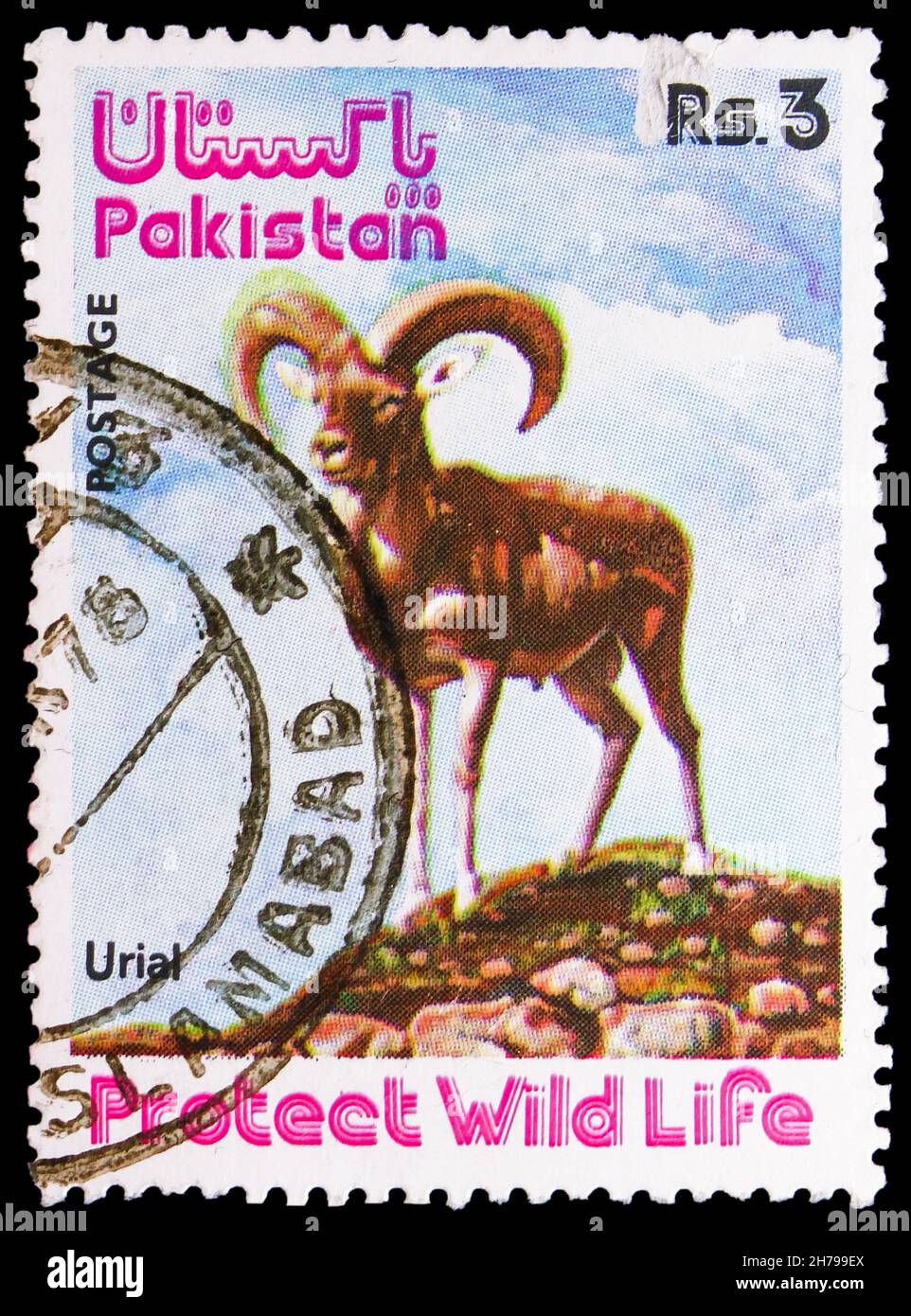 MOSCOW, RUSSIA - OCTOBER 25, 2021: Postage stamp printed in Pakistan ...