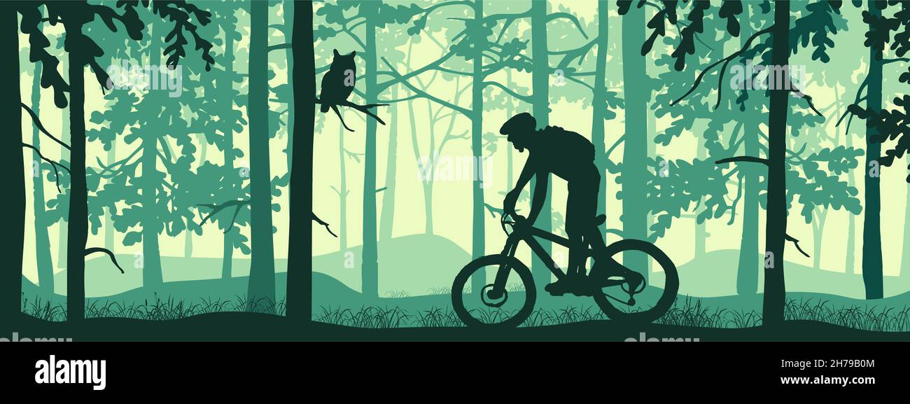 Horizontal banner. Silhouette of mountain bike rider in magical misty ...