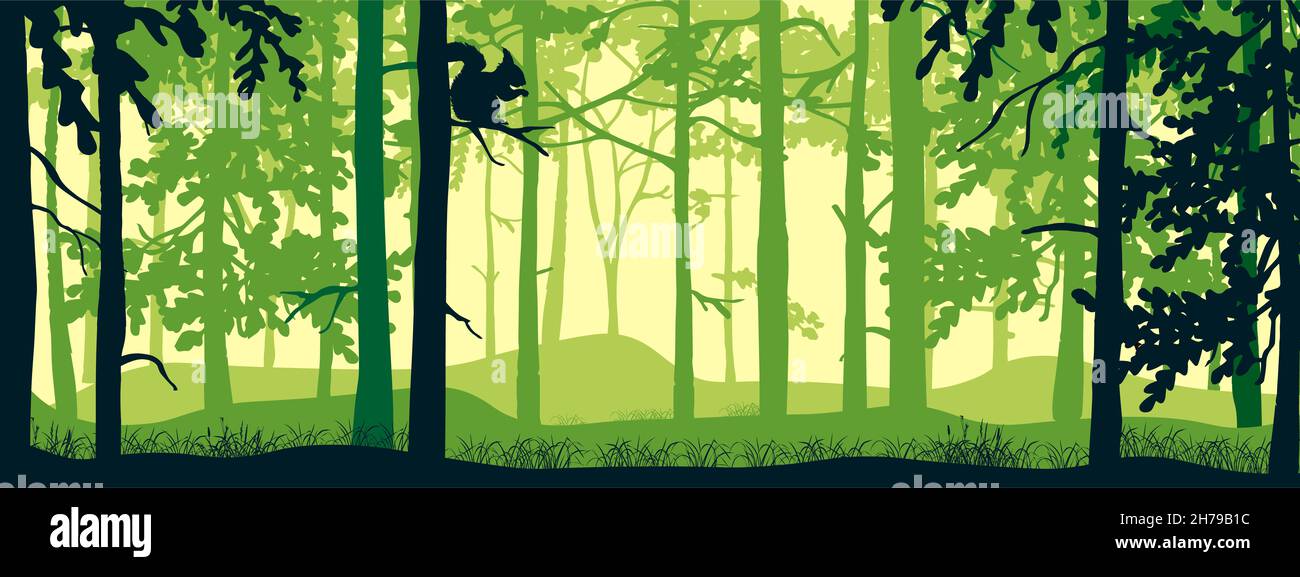 Horizontal banner of forest background, silhouettes of trees, owl on ...