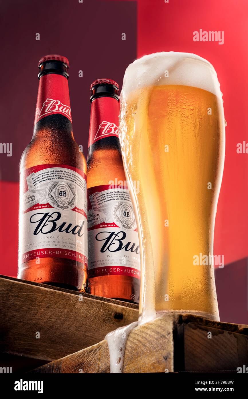 Two bottles of cold Budweiser beer and a glass of beer on a red ...