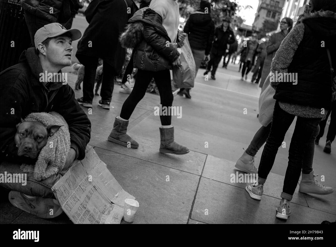 New York, NY, USA. 6th Nov, 2021. A panhandler with his dog on Fifth ...