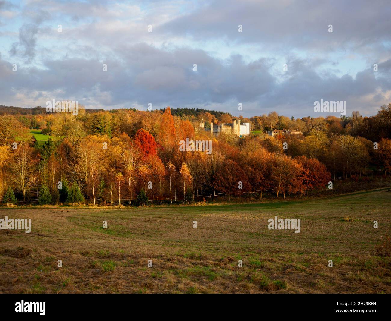 Leeds, Kent, UK. 21st Nov, 2021. UK Weather: stunning autumn colours ...