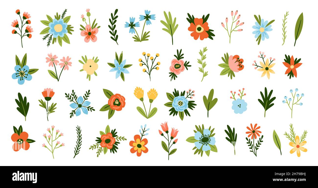 Cartoon flowers. Spring blooming plants, cute floral elements ...