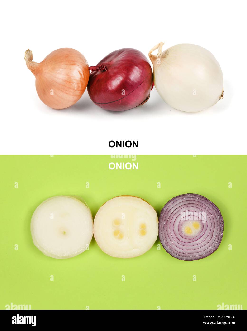 Creative layout made of three onion bulbs of different colors (red ...