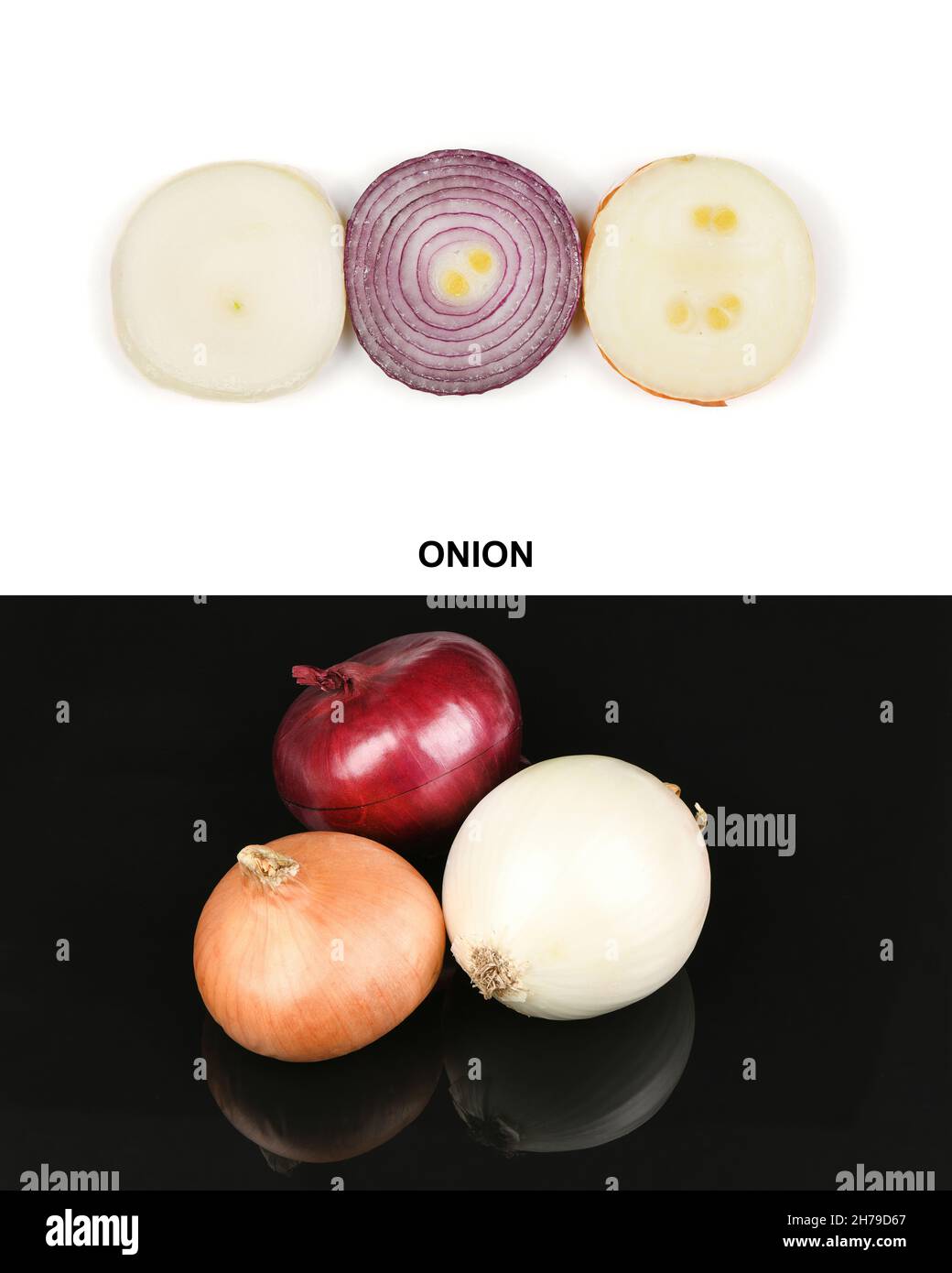 Creative layout made of three onion bulbs of different colors (red ...