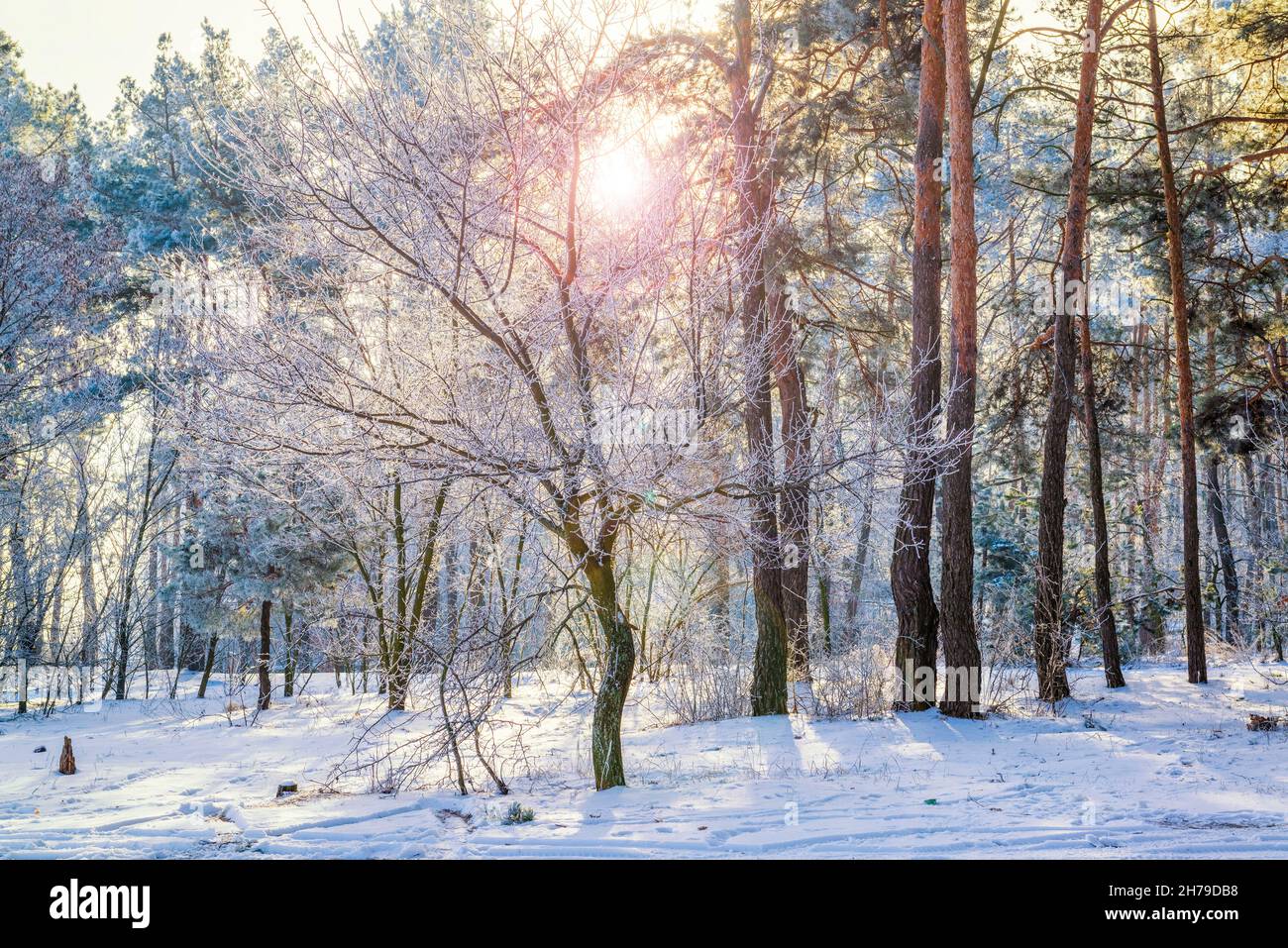 Sunny weather in park hi-res stock photography and images - Alamy