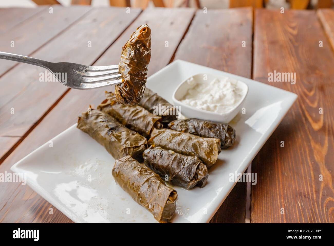 dolma is a large family of traditional dishes of grape leaf snacks ...
