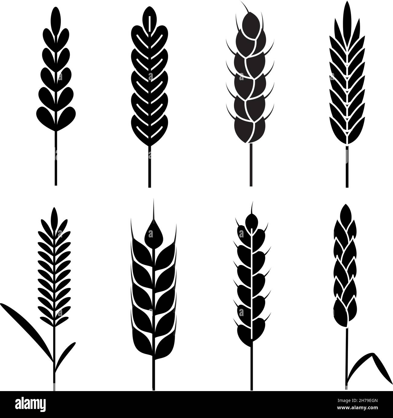 Wheat ears icons. Organic agriculture cereals harvest. Rye black ...