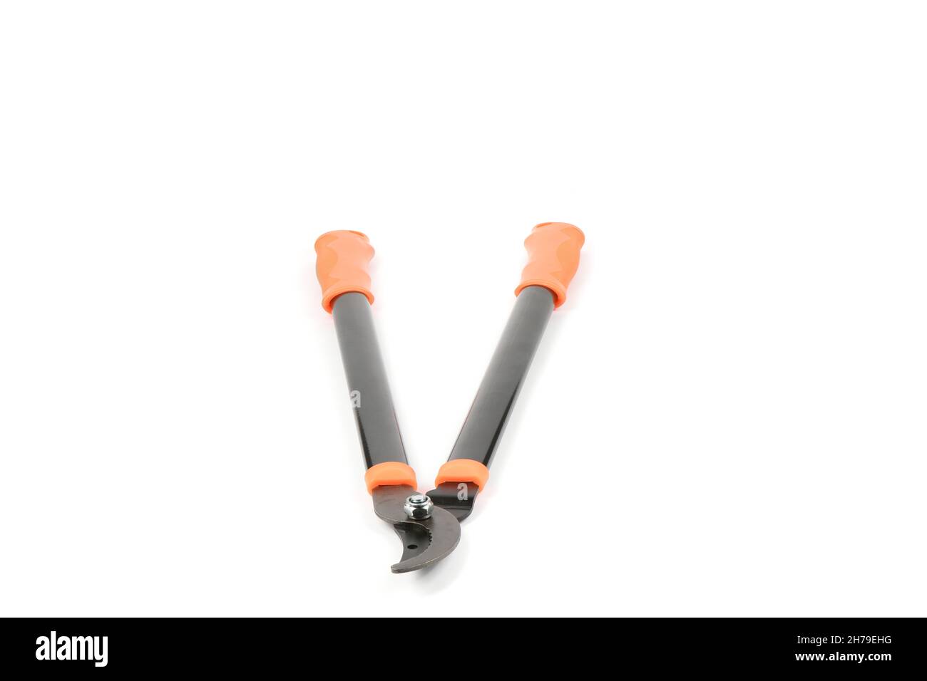 Pruner for pruning large branches, twigs and knots. Garden Tools ...