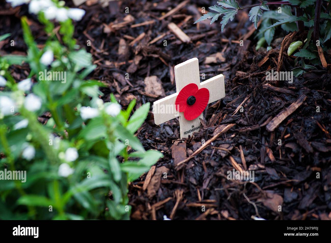 Ww2 british emblem hi-res stock photography and images - Alamy