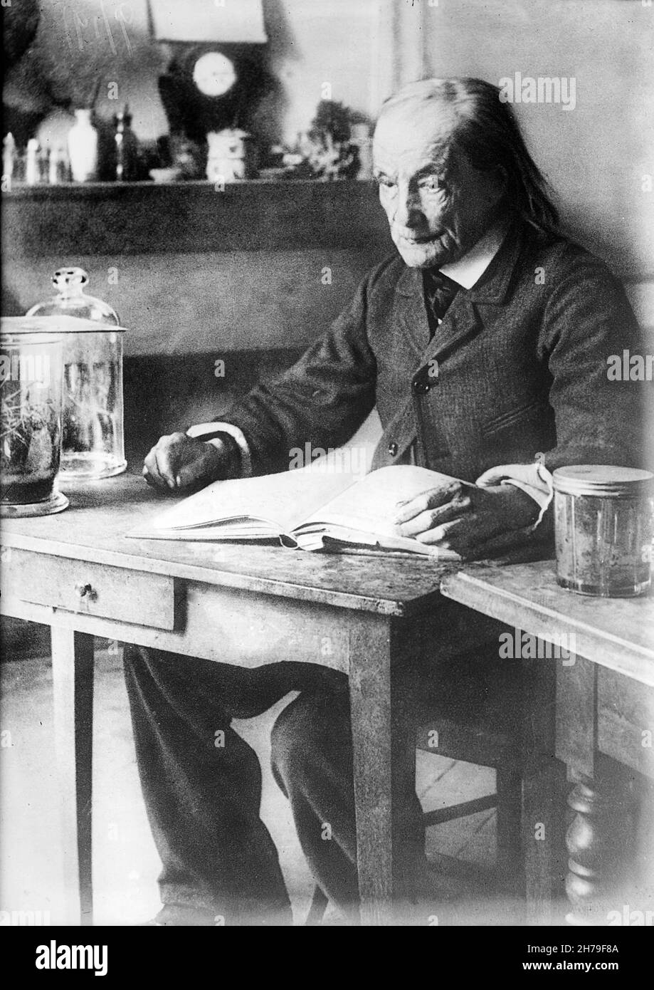 FABRE Jean -Henri ©Archives-Zephyr/Opale.photo *** Local Caption *** Stock Photo - Alamy