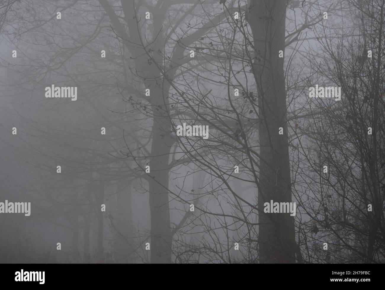 Limited precipitation hi-res stock photography and images - Alamy