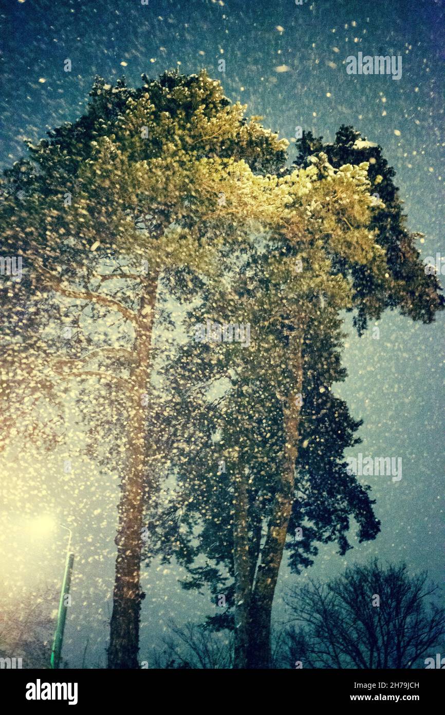 winter in the city snowfall at night Stock Photo - Alamy