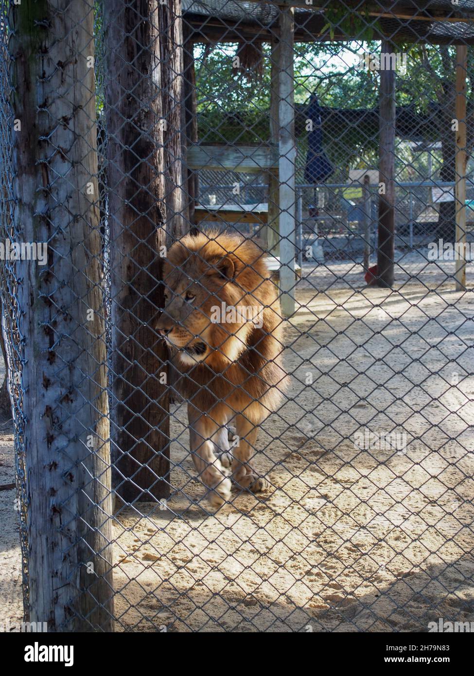 Octagon wildlife sanctuary hi-res stock photography and images - Alamy