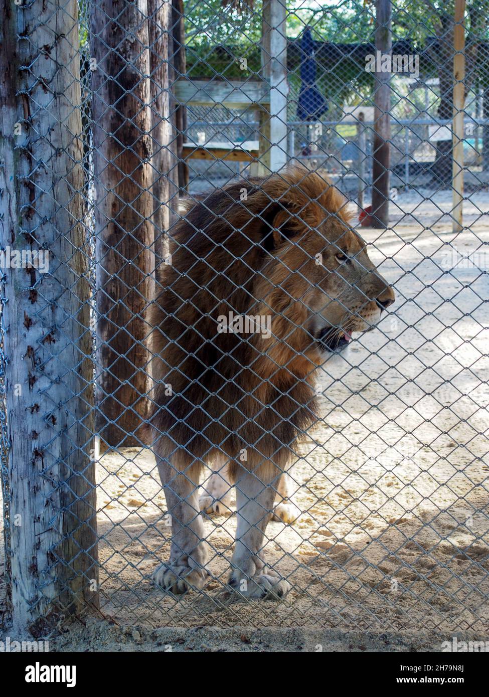 Octagon wildlife sanctuary hi-res stock photography and images - Alamy