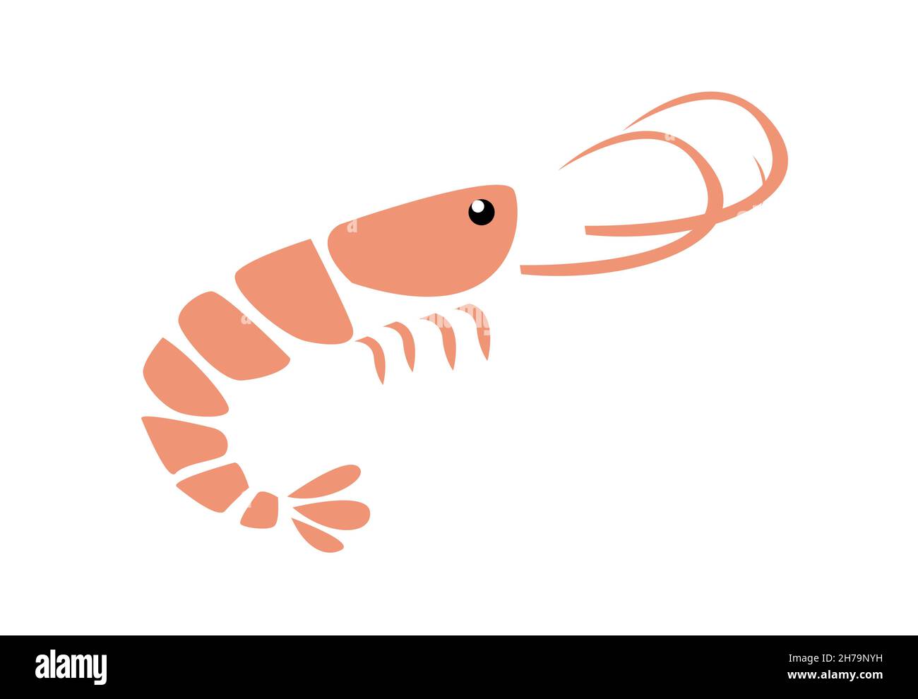 Shrimp Vector