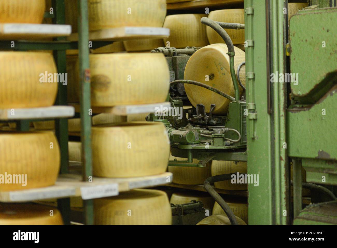 Parma 2064 Parmigiano Reggiano cheese manufacturing dairy farm cooking ...