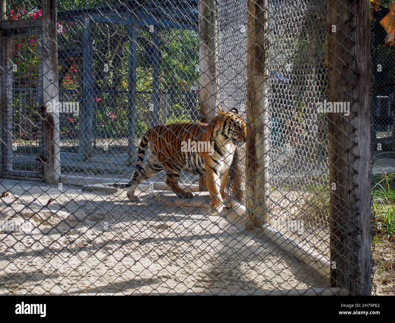 Octagon wildlife sanctuary hi-res stock photography and images - Alamy