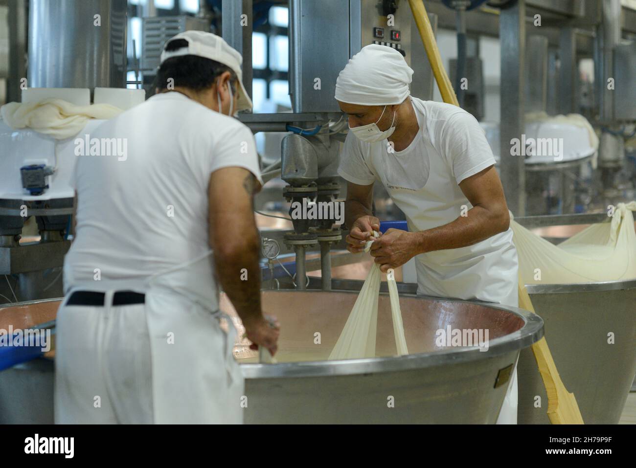 Parma 2064 Parmigiano Reggiano cheese manufacturing dairy farm cooking ...