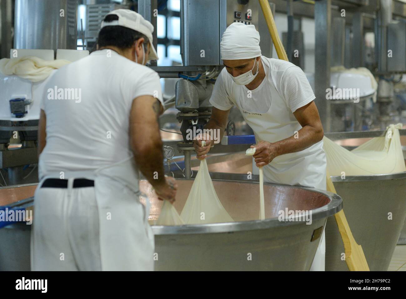 Parma 2064 Parmigiano Reggiano cheese manufacturing dairy farm cooking ...