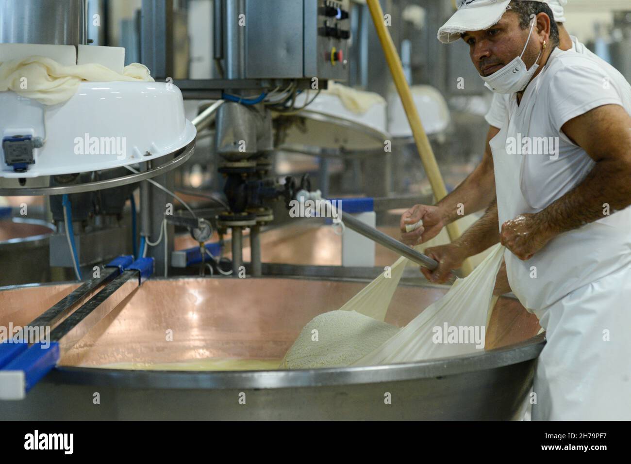 Master cheesemaker hi-res stock photography and images - Alamy