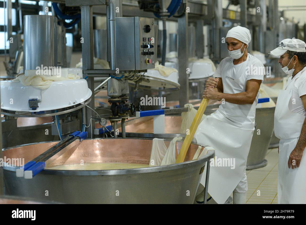 Parma 2064 Parmigiano Reggiano cheese manufacturing dairy farm cooking ...