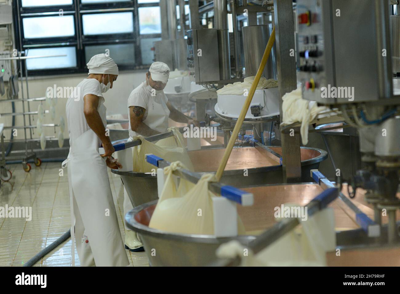 Parma 2064 Parmigiano Reggiano cheese manufacturing dairy farm cooking ...