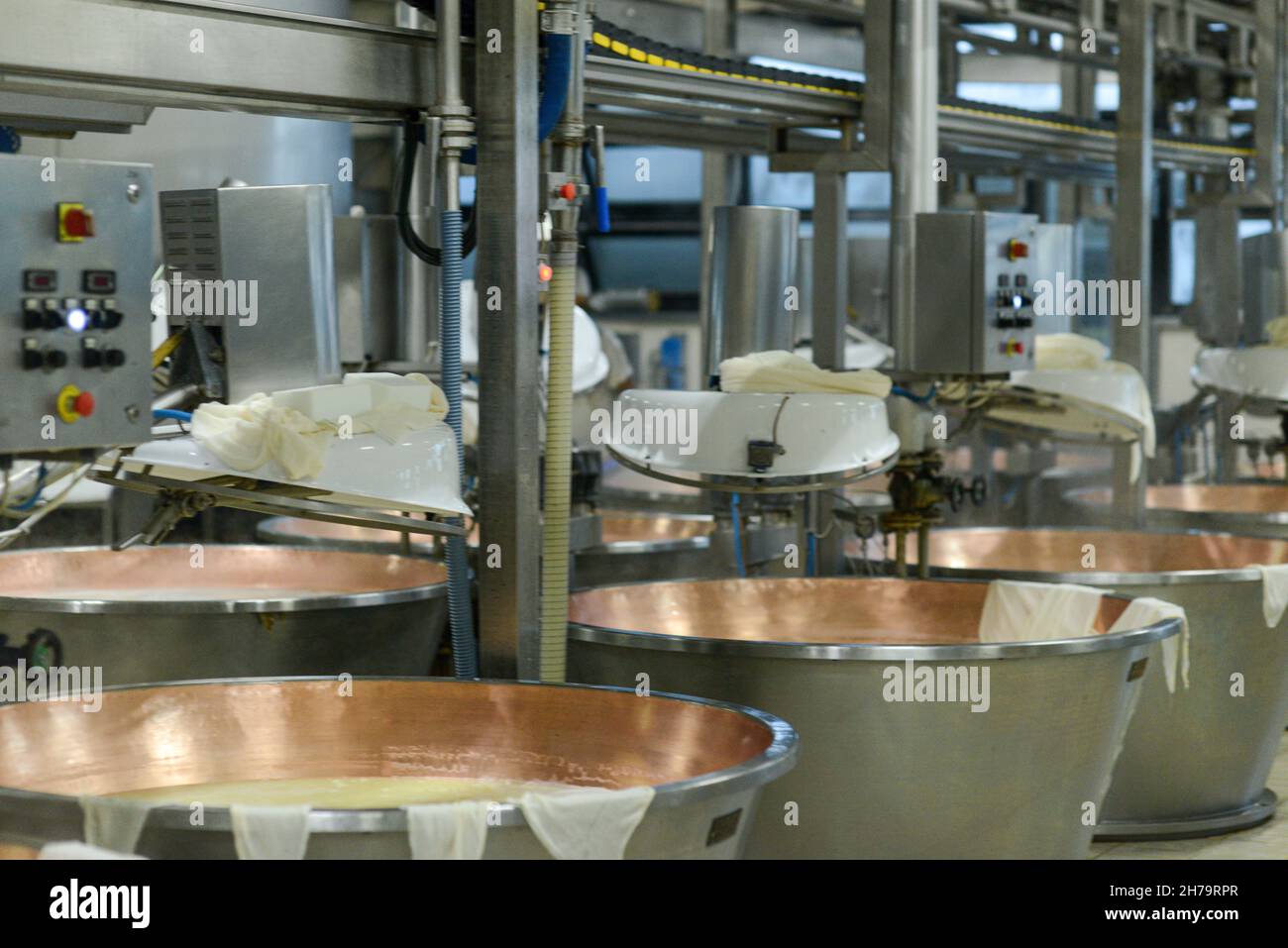 Parma 2064 Parmigiano Reggiano cheese manufacturing dairy farm cooking ...