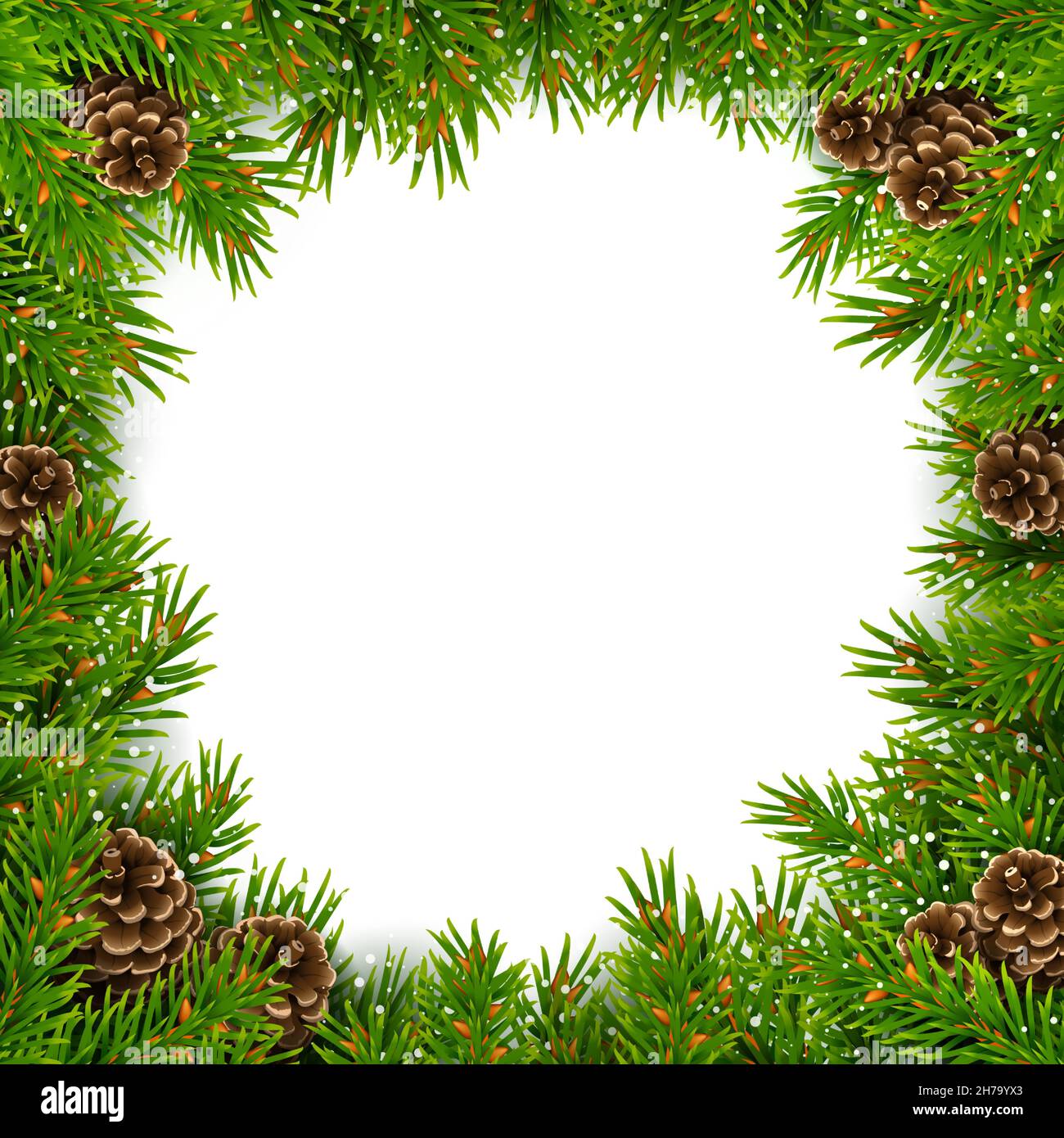Square perimeter border made of evergreen spruce branches, pine cones ...