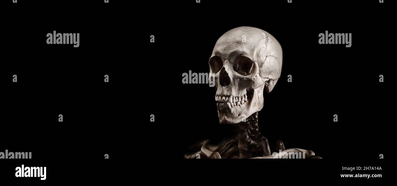 Real human skeleton hi-res stock photography and images - Alamy