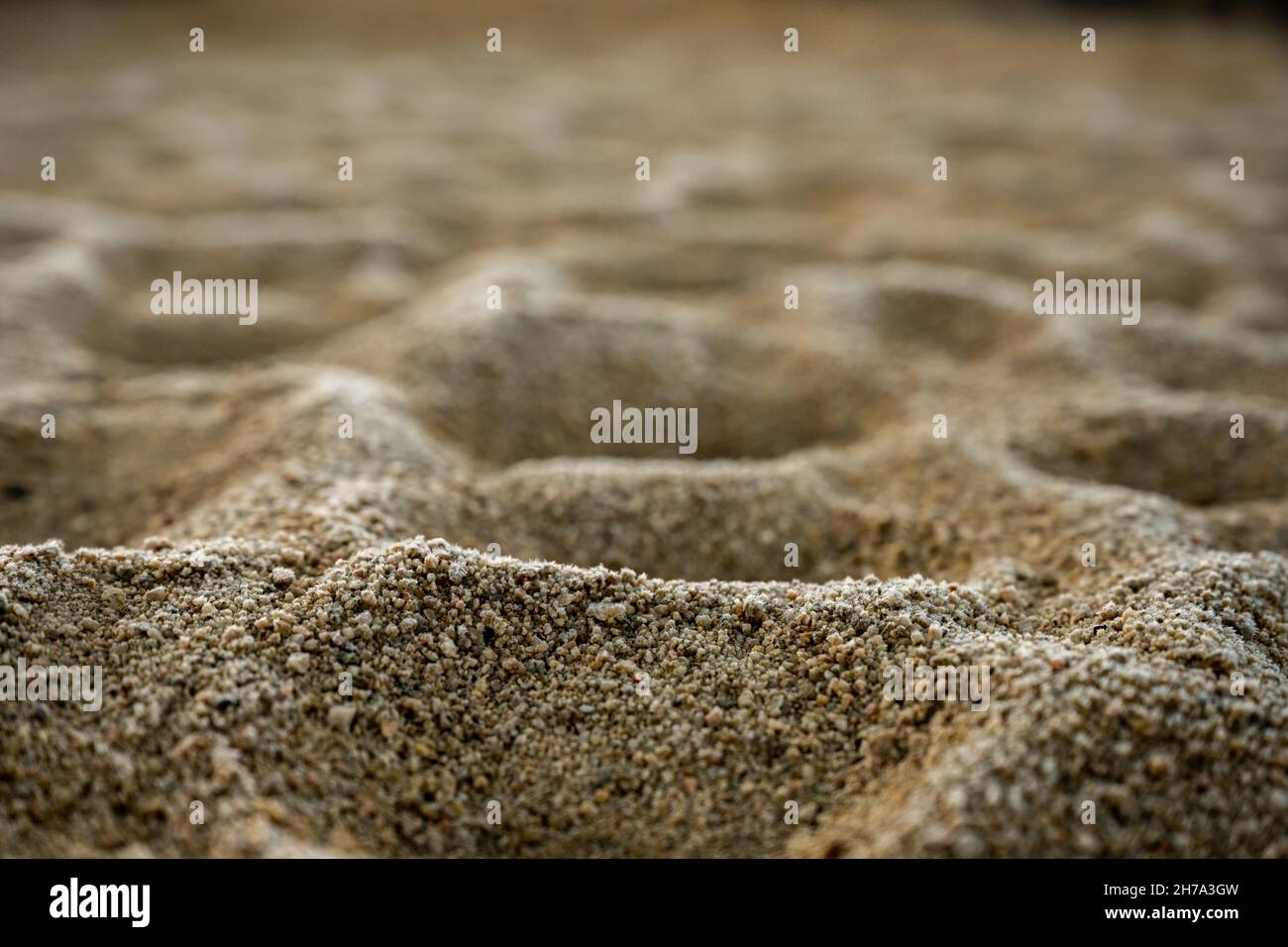 Grains Of Sand With A Thin Layer of Frost Stock Photo - Alamy