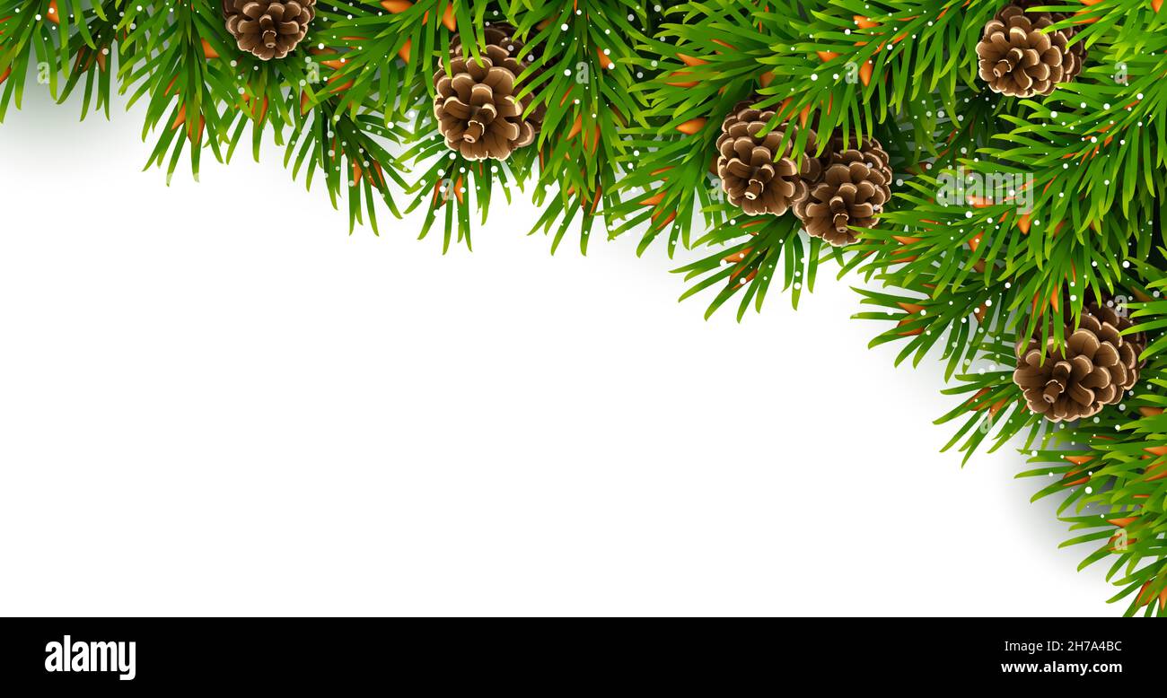 Corner frame of evergreen spruce branches, pine cones and snowflakes ...