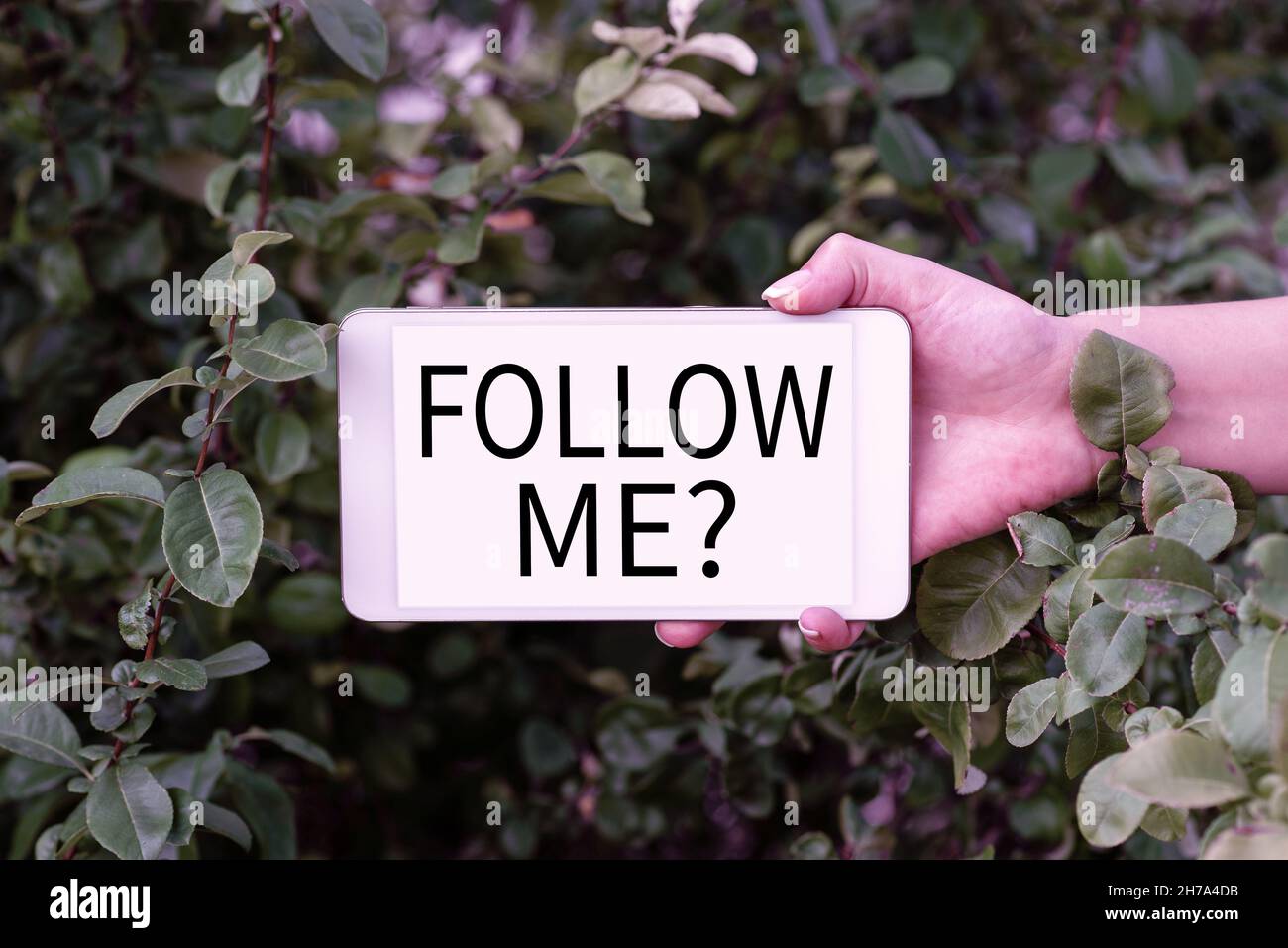 Inspiration showing sign Follow Me Question. Business idea go or come ...
