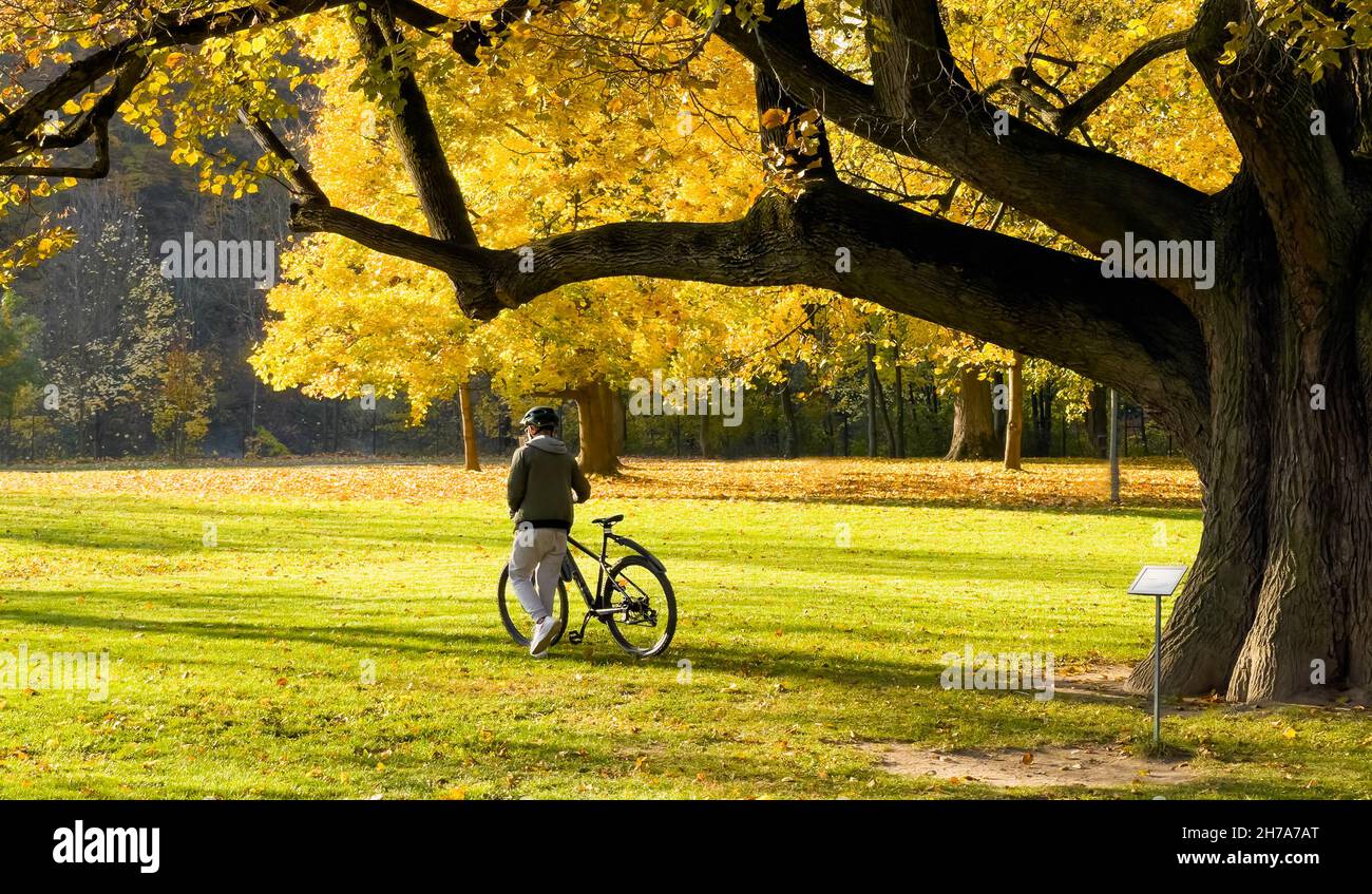 Boy walking under the tree hi-res stock photography and images - Alamy