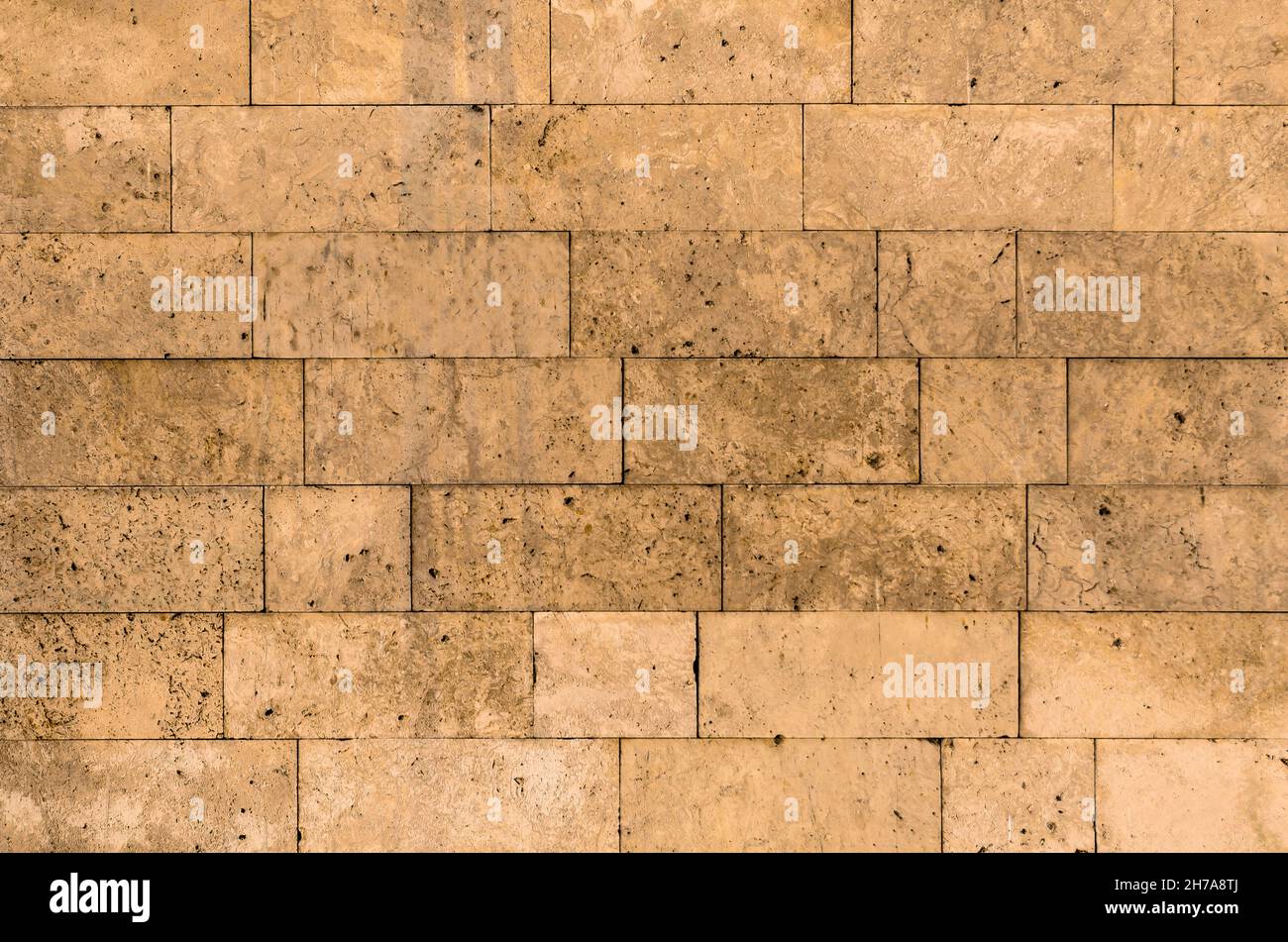 Wall texture bricks blocks of shell stone sea stone Stock Photo - Alamy