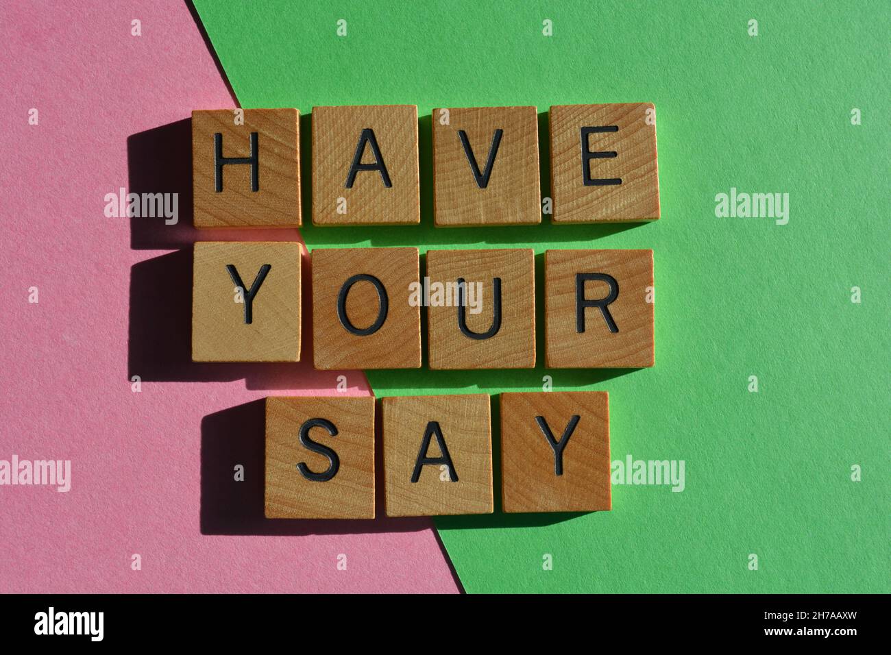 Have Your Say, words in wooden alphabet letters isolated on pink and ...