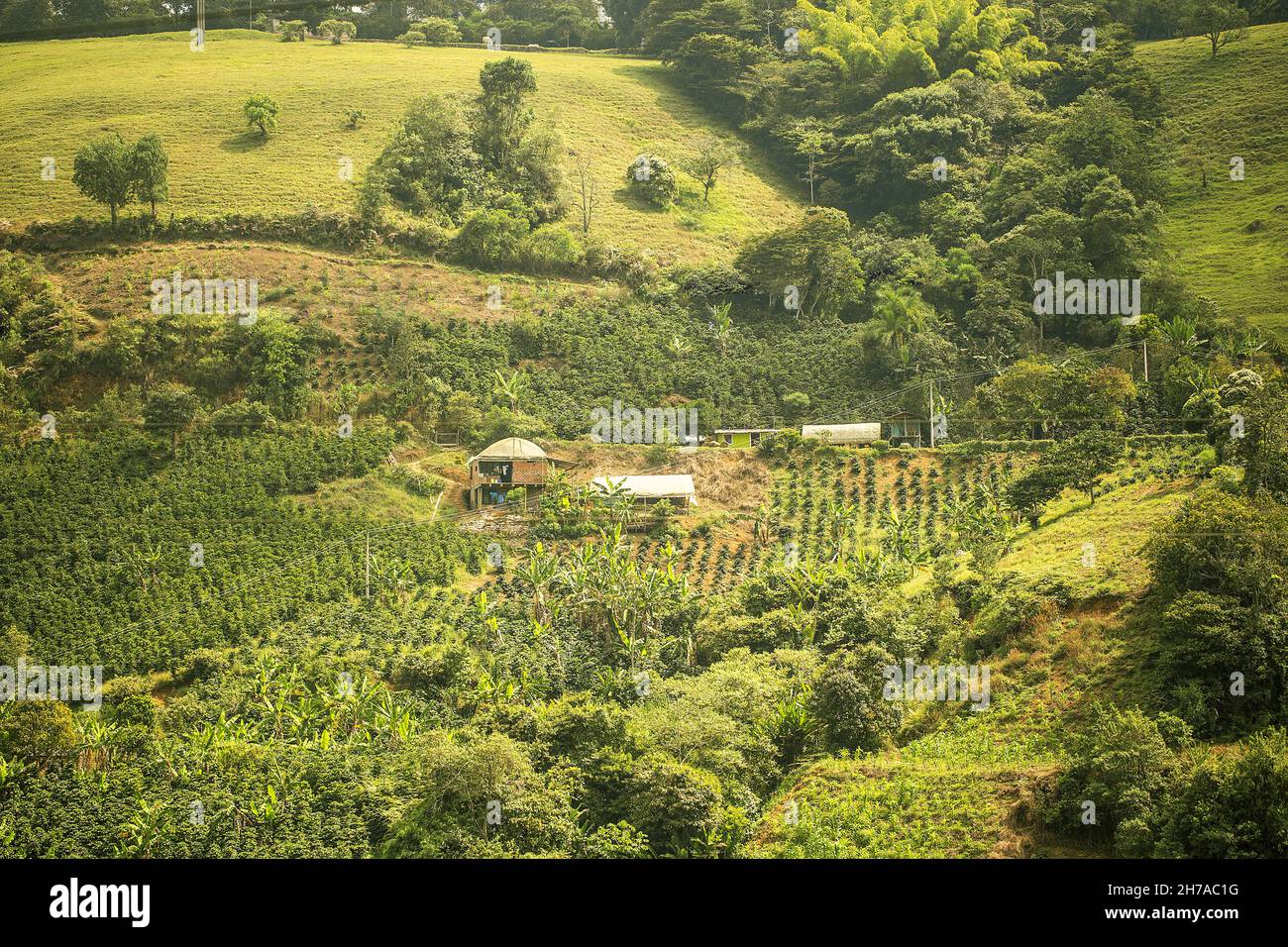 An aerial view of a farm on the hill covered in greenery Stock Photo ...
