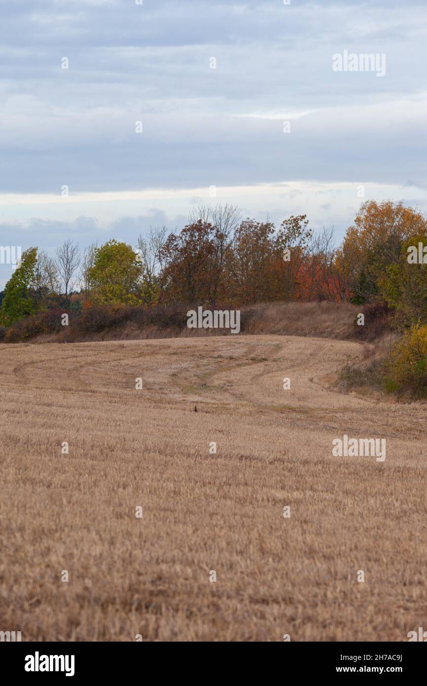 Verticanl hi-res stock photography and images - Alamy