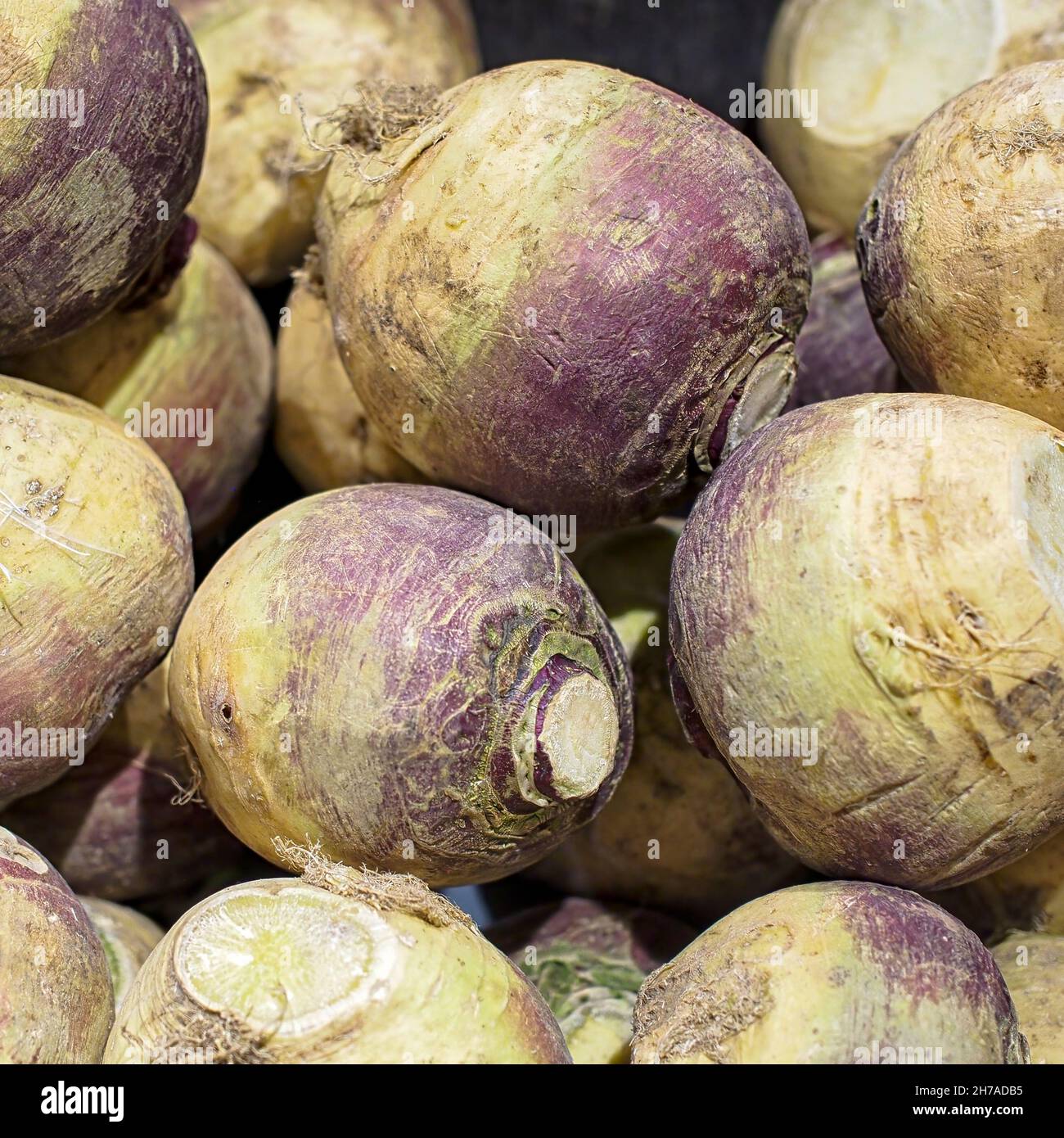 Swedish swede hi-res stock photography and images - Alamy