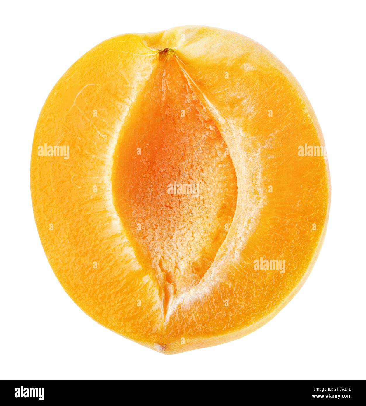 Apricot half isolated on white background with clipping path. Full ...