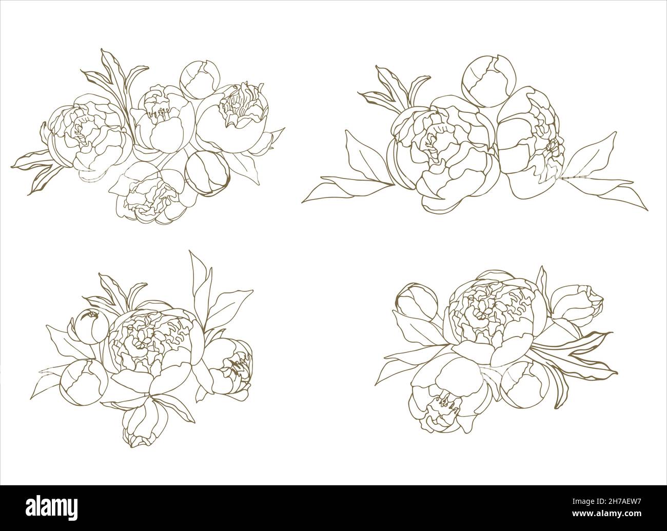 Floral border, peony bouquet Stock Vector Image & Art - Alamy