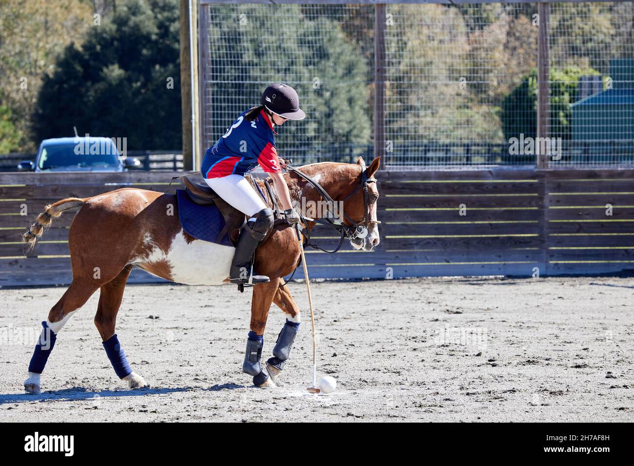 AIKEN, UNITED STATES - Nov 01, 2021: The USCA Women's Polo team vs ...