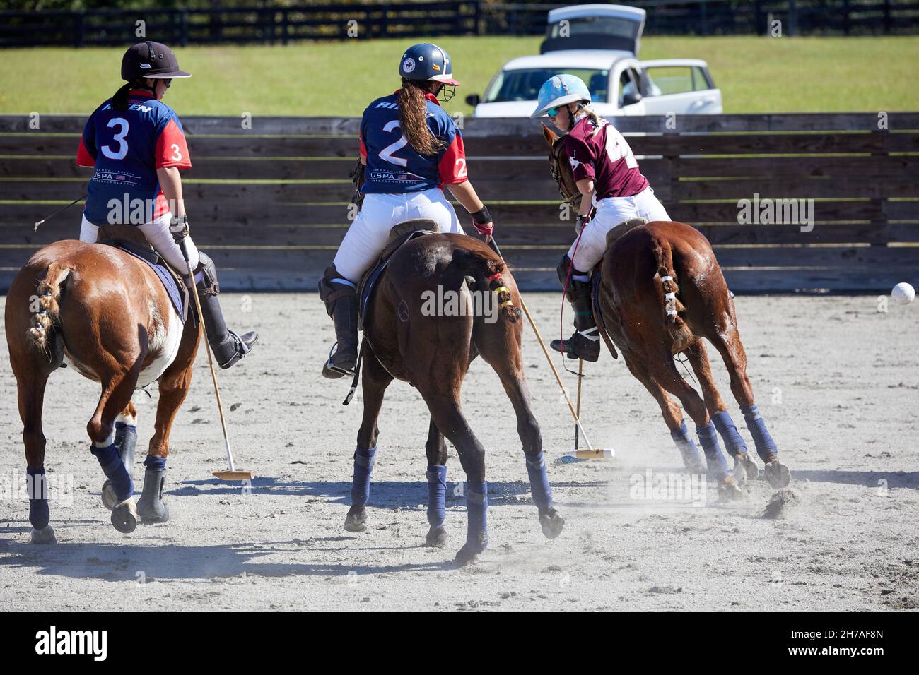 AIKEN, UNITED STATES - Nov 01, 2021: The USCA Women's Polo team vs ...