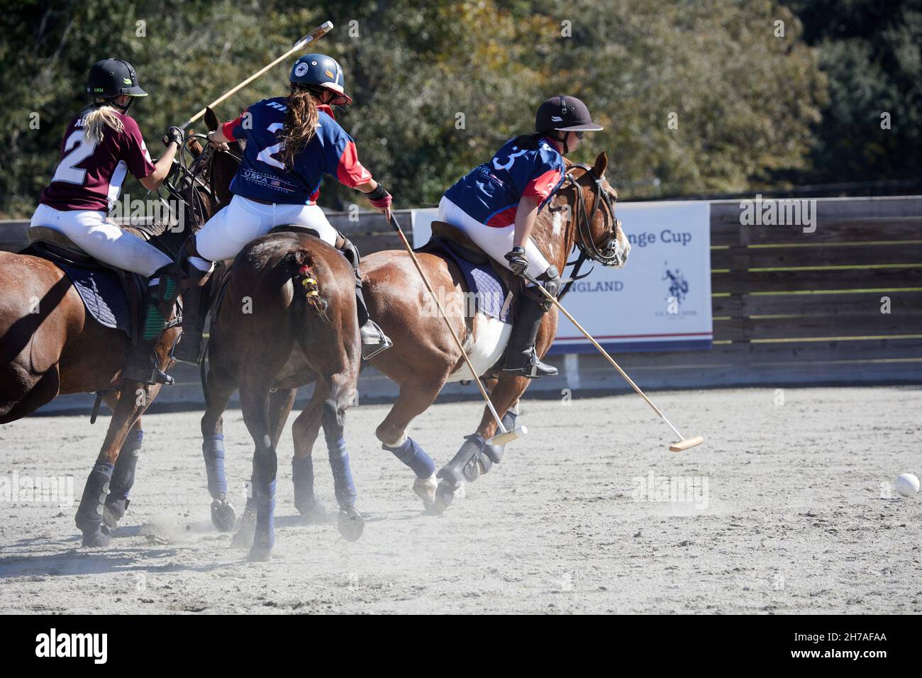 AIKEN, UNITED STATES - Nov 01, 2021: The USCA Women's Polo team vs ...
