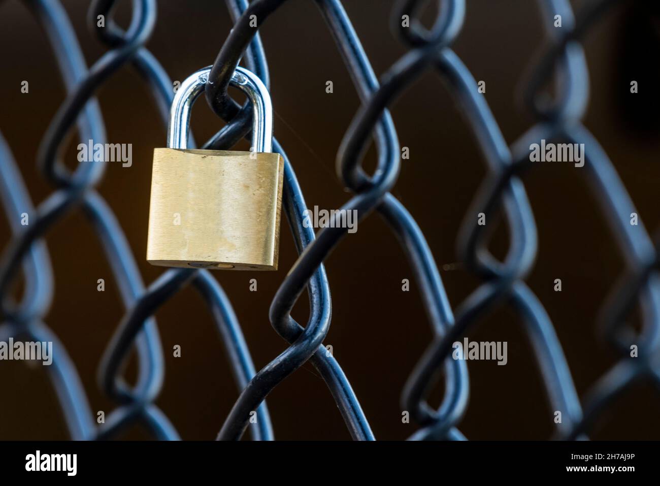A brass padlock is attached to a chain-link fence Stock Photo - Alamy