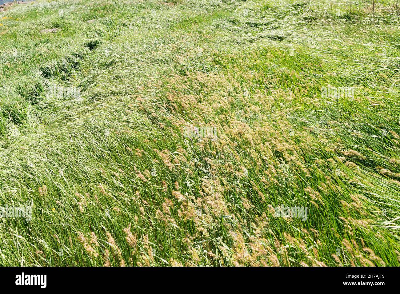 Aerial top view wind hi-res stock photography and images - Alamy